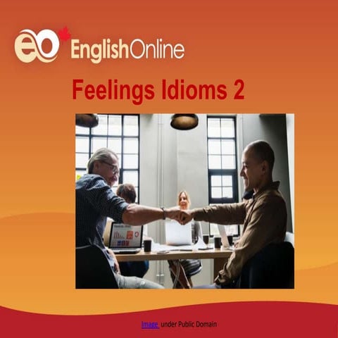 Feelings idioms2 | PPTX