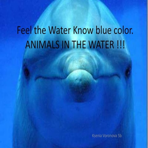 Feel the water know blue color voronova ksenija | PPTX