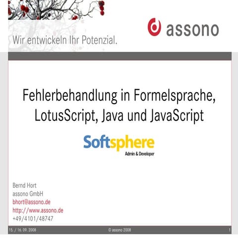 Errorhandling in @formula, lotusscript, java and javascript | PDF