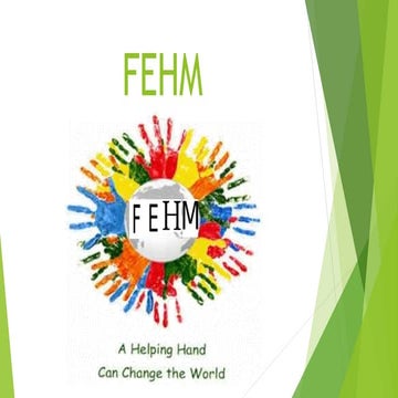 Fehm NGO | PPT