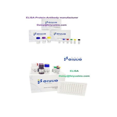 Feiyuebio ELISA May promotion.pdf