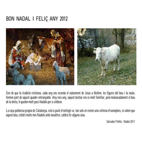 Felicitació nadal 2011 Salvador Filella | PPT