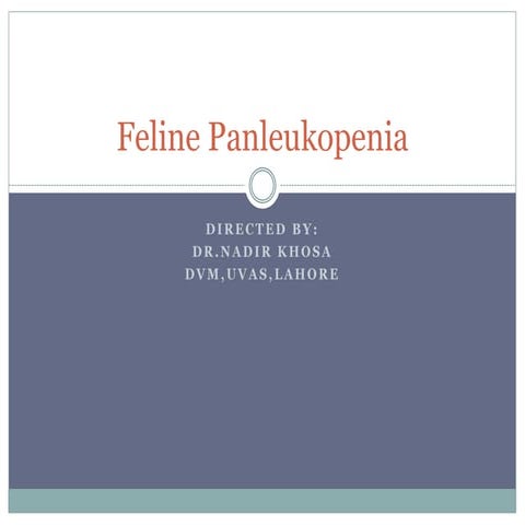 INDIAN HORSE BREEDS, INDIAN PONY BREEDS, HORSES, PONIES | PPTX