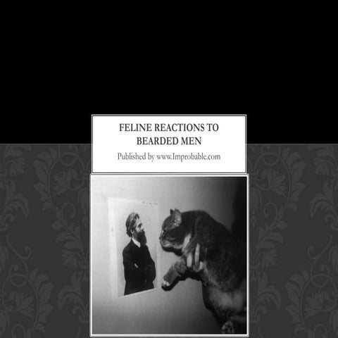 Feline Reactions To Bearded Men | PPTX