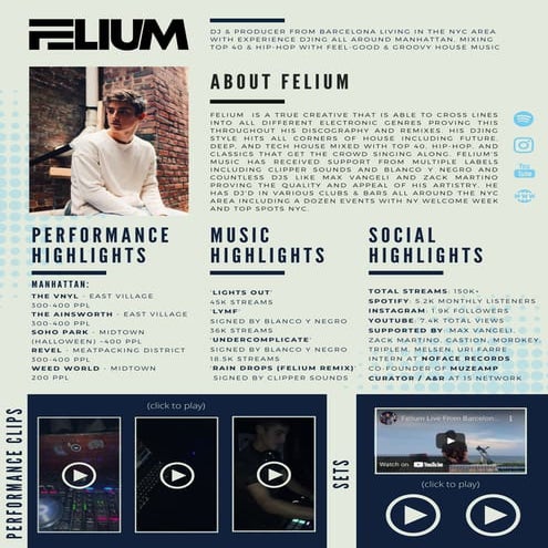 One-Sheet Example - Felium | PDF