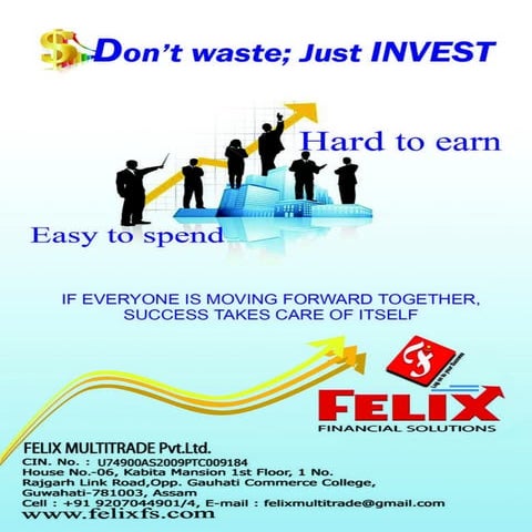 FELIX: The Business Plan | PPT
