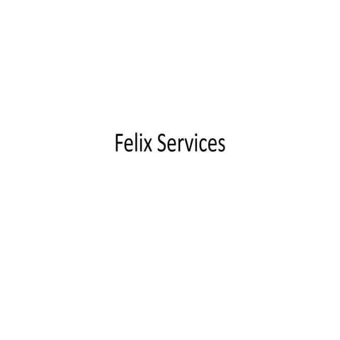 Felix Services Powerpoint | PPTX