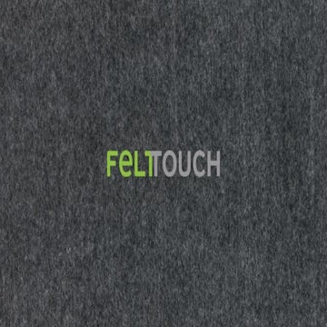 FELTOUCH | PPT