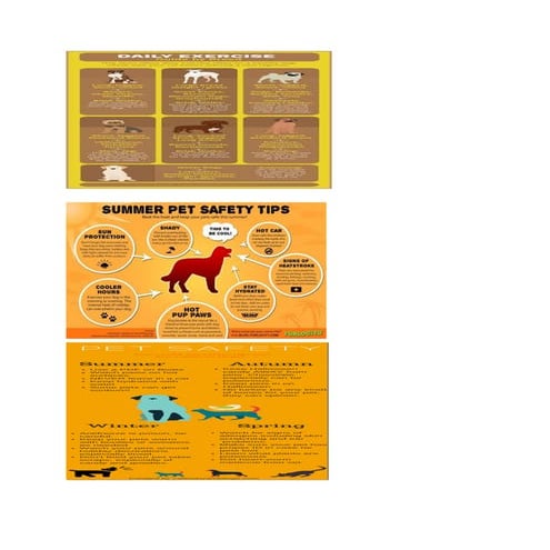 Dogs care | PDF