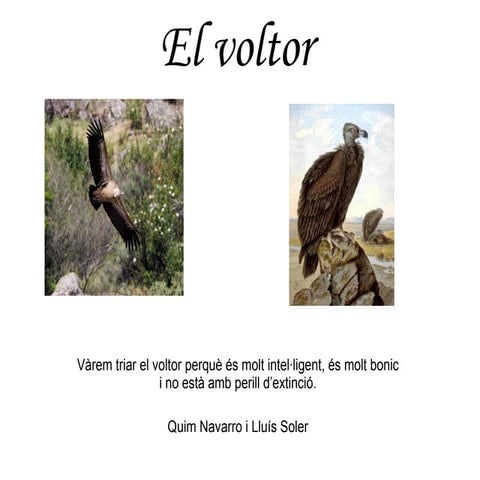 El voltor | PPT