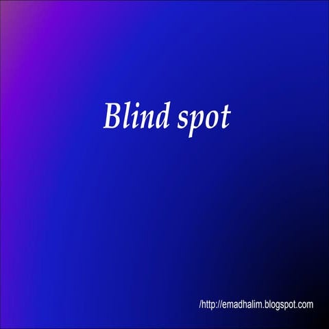 Blind spot in the eye | PPS