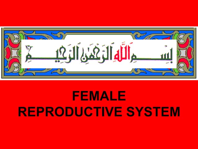 Microscopic features of ovary | PDF