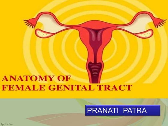 Anatomy of female genital tract | PPTX