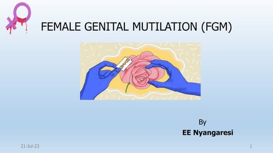 Female Genital Mutilation for Healthcare Professionals | PDF
