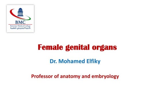 Ligaments Of Female Genital Tract Pptx 8735