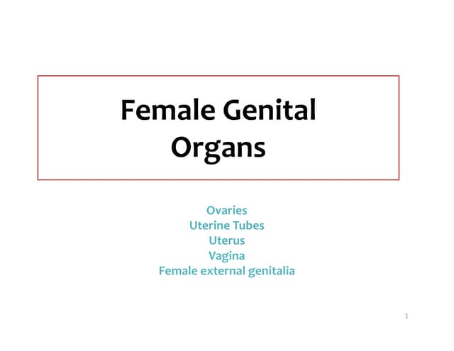 Anatomy of Female internal genitalia.pptx