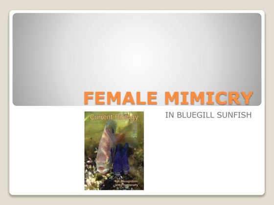 Mimicry (Evolutionary Biology) | PPTX | Reptiles | Pets