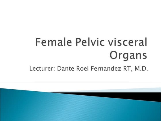 Pelvic muscles ppt | PPT