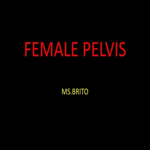 Comprehensive Anatomy and Function of the Female Pelvis | PDF