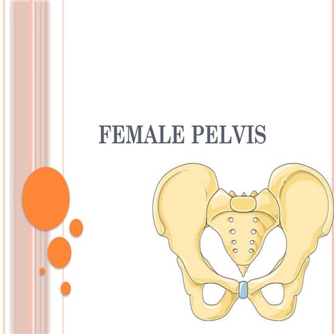 FEMALE PELVIS FOR B.SC NURSING STUDENT. | PPTX