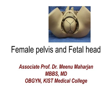 Anatomy of female pelvis and Fetal Diameters 2020.pptx