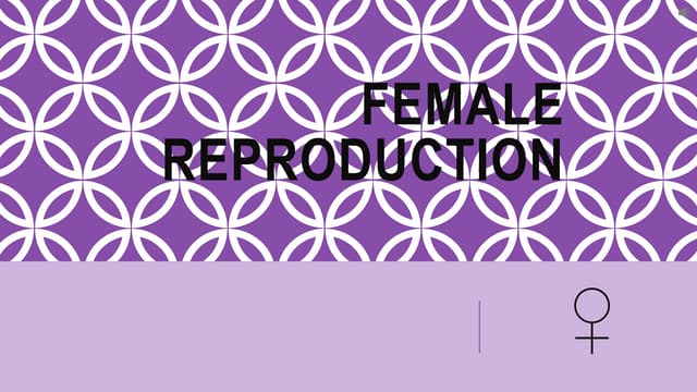 Female reproductive system | PPT | Pregnancy | Reproductive Health
