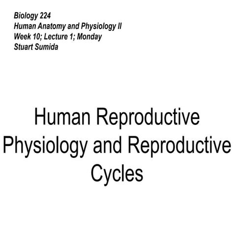 female_reproduction_hormone_cycle.ppt