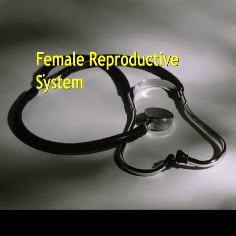 Female Reproductiveppt Mdnfkjsndksd Dsfkn Ppt 4874