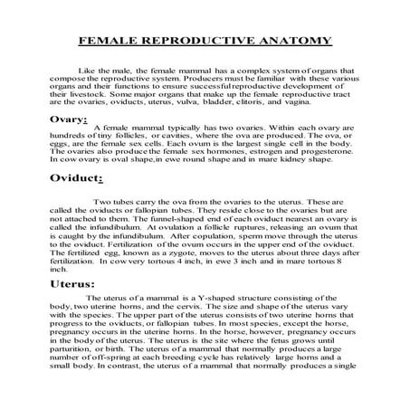 Female bovine reproduction system | PPS