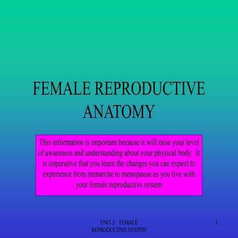 Female Reproductive Anatomy.ppt
