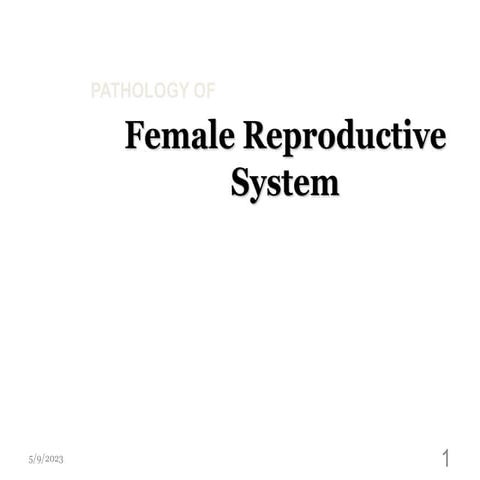 Female Reproductive m3.ppt
