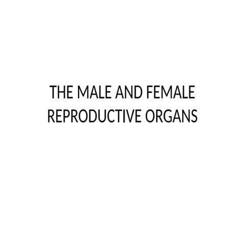 Genital reproductive system (grs) | PPTX