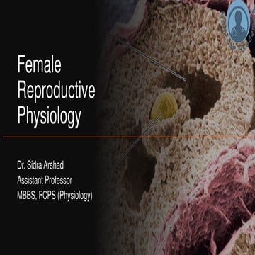Female Reproductive Physiology Before Pregnancy | PDF