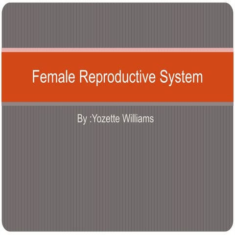 Female reproductive system | PPT