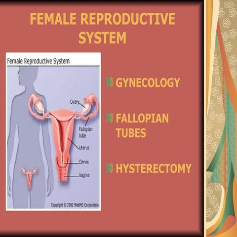 Female reproductive system | PPT