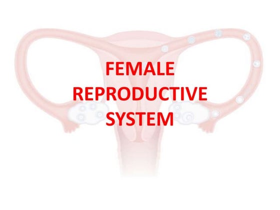 Female reproductive system | PPT