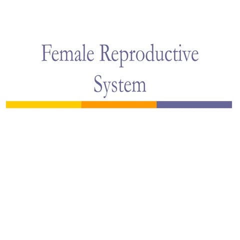 Female reproductive system | PPT