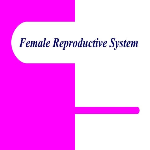 Femalereproductivesystem | PPT