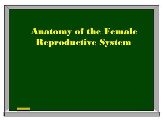 Pelvic muscles ppt | PDF | Fitness and Exercise | Healthy Living