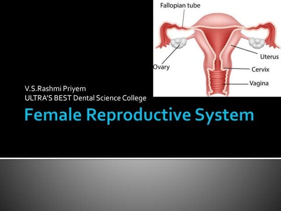 Female reproductive anatomy | PPTX | Infertility | Reproductive Health