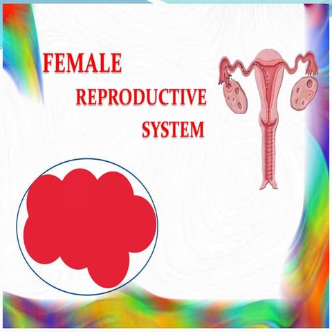 Female reproductive system | PDF
