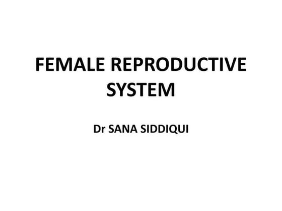 Histology Of Female Reproductive System Pptx