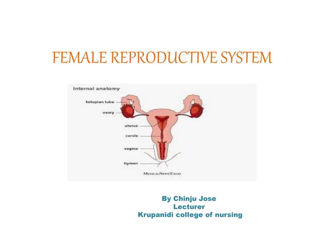 MALE AND FEMALE REPRODUCTIVE SYSTEM.pptx