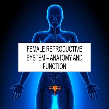 female reproductive system significance , anatomy | PPTX