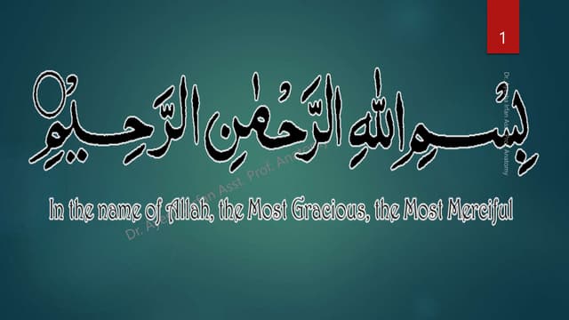 Histology of ovaries | PPTX