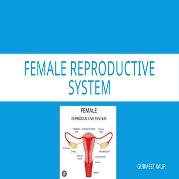 Female reproductive system .pptx