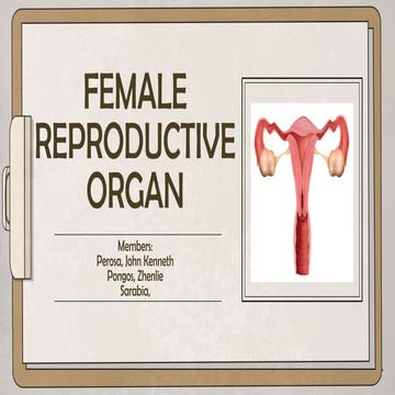 Female Reproductive System..........pptx