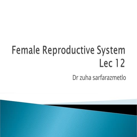 Female Reproductive System Ppt Female Reproductive System Ppt