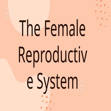 female reproductive system.pptx......... | PPTX