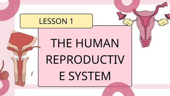 Grade 10 The-Human-Reproductive-System.pptx